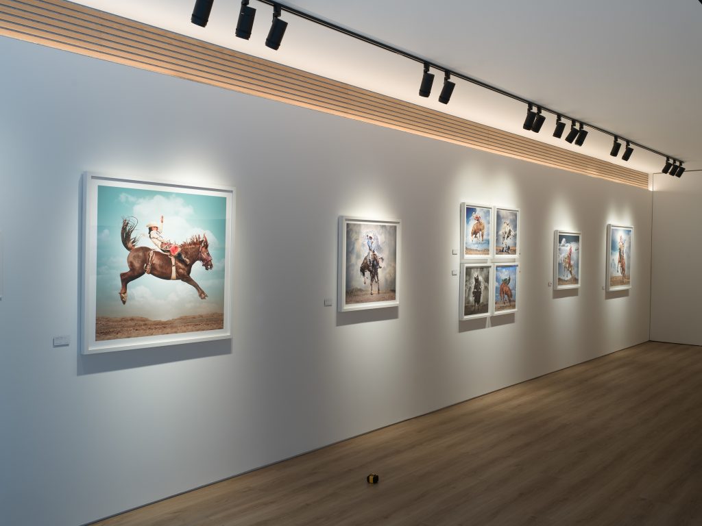 Art Gallery Lighting Design - Banno Lighting™